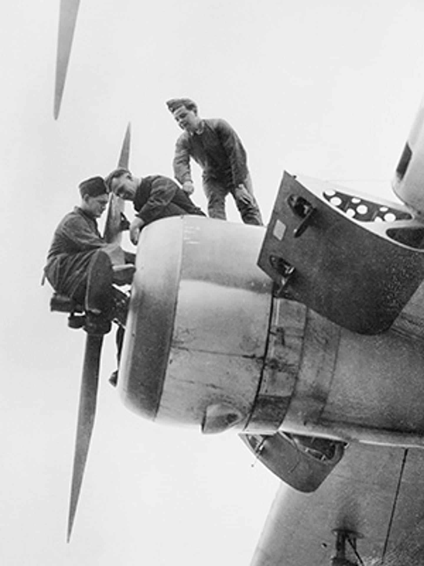 First to Fight: No. 10 Squadron | shrine.org.au