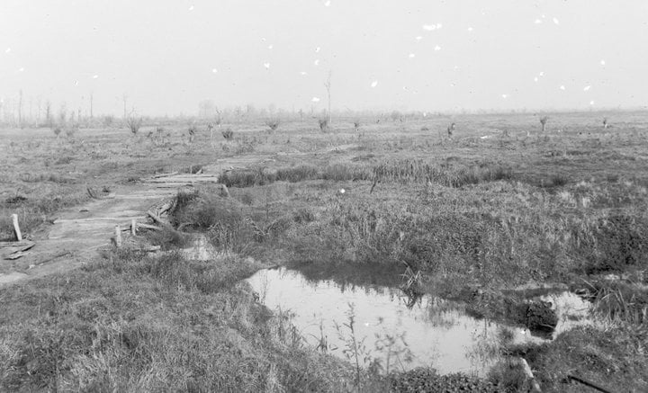 Fromelles and Pozieres | shrine.org.au