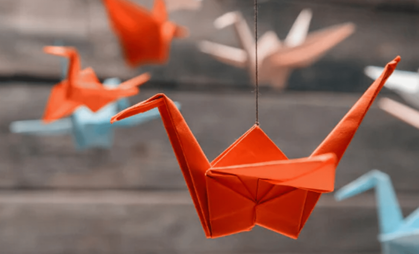 Fold an origami peace crane for Remembrance Day | shrine.org.au