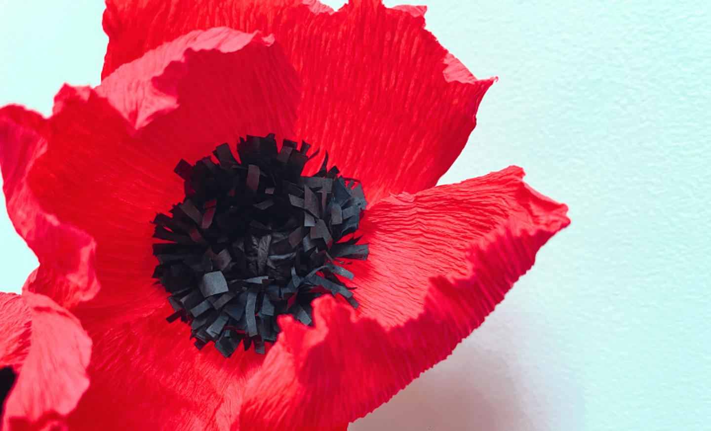 Crafting paper poppies with Louise Seymour | shrine.org.au